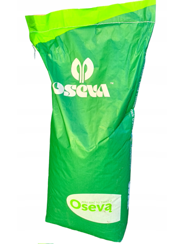 Kukurydza ALOMBO FAO 240/250 - Allepasze.pl